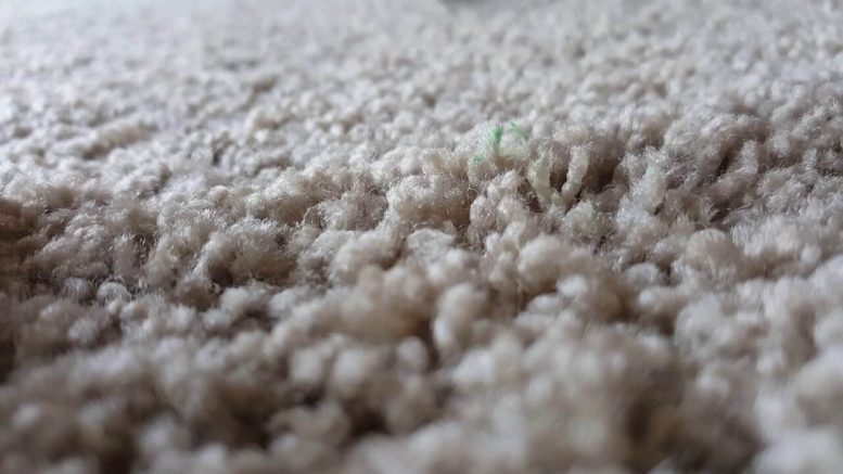 How to Get Silly Putty Out of Carpet. Best Options to Use